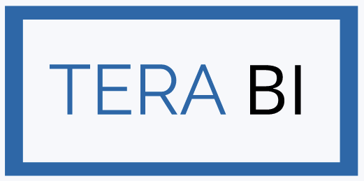 TeraBI | Ready for the Big Data